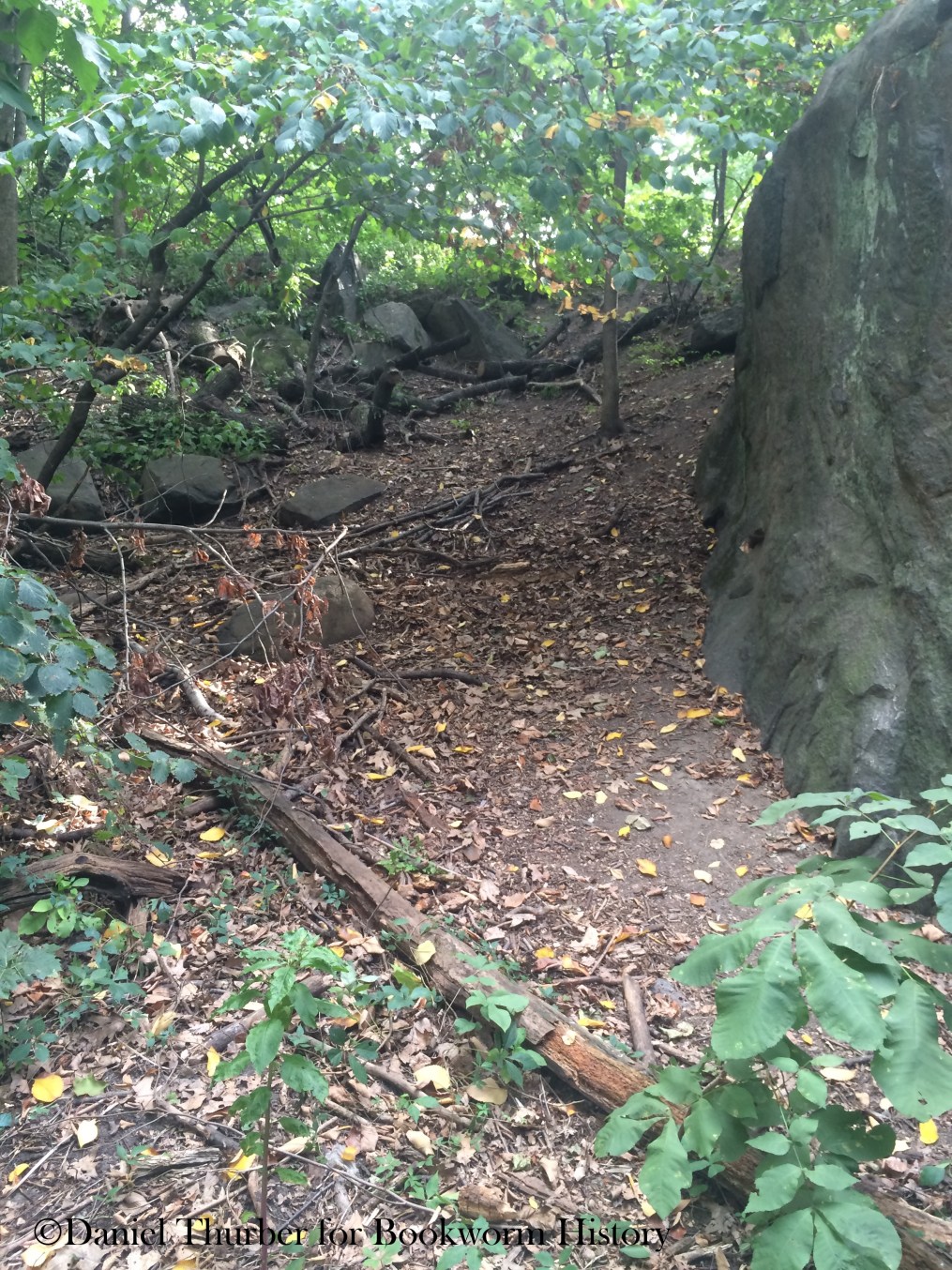 Central Park and the Long-Lost Ramble Cave – Bookworm History