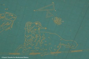 The Hidden History of Grand Central Terminal’s Celestial Ceiling ...